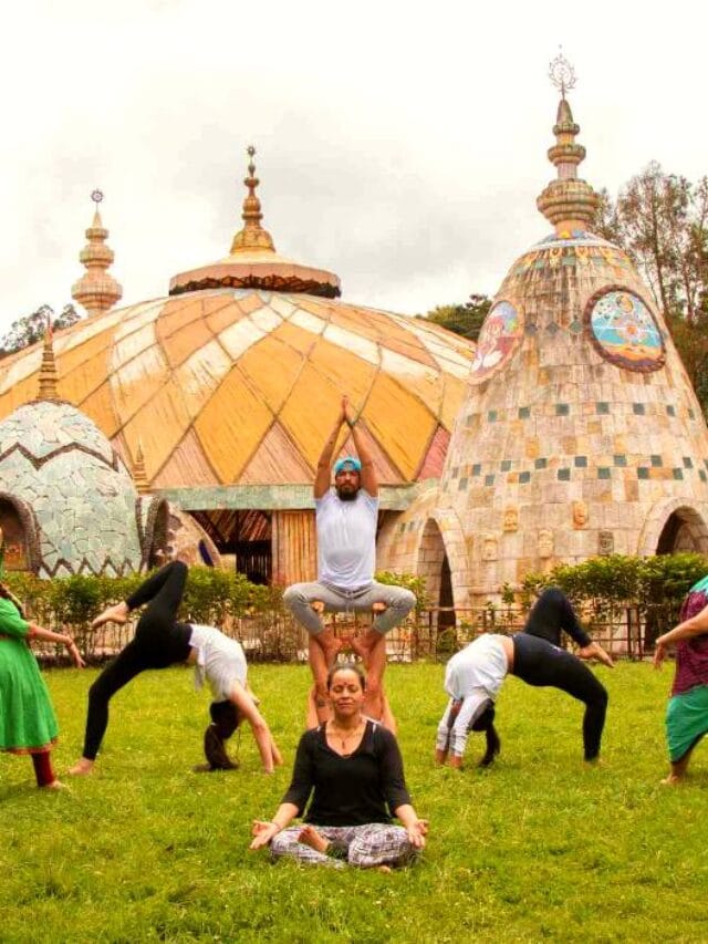 Pasadia Estandar - Eco Yoga Aldea